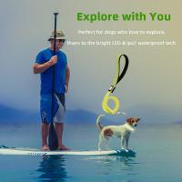 China 47.2 Inch / 120cm Waterproof LED Dog Leash for sale