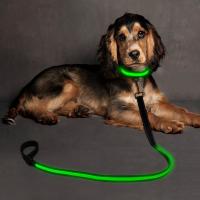 China USB Rechargeable Reflective Pet Leash 47 Inches Glowing Dog Accessories for sale