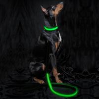China USB Rechargeable Reflective Pet Leash 47 Inches Glowing Dog Accessories for sale