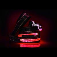 China Glow In The Dark LED Flashing Dog Leash Comfort Grip Handle 5 Feet Length for sale
