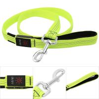China Customized Color LED Dog Leash , Glow In The Dark Dog Leash Light Up At Night for sale
