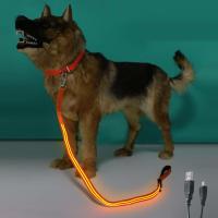 China Double Optical Fiber LED Light Up Dog Leash 2 Lighting Modes With Flashlight for sale