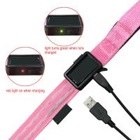China Double Optical Fiber LED Light Up Dog Leash 2 Lighting Modes With Flashlight for sale