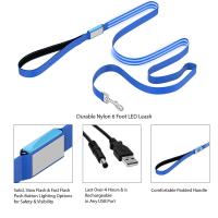 China 3 Different Settings LED Dog Leash Lights Up For Night Visibility Safety Collection for sale