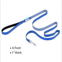 China 3 Different Settings LED Dog Leash Lights Up For Night Visibility Safety Collection for sale