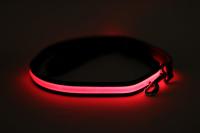 China Comfort Grip Handle LED Pet Leash High Visibility Industrial Strength Materials for sale