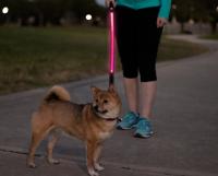 China Comfort Grip Handle LED Pet Leash High Visibility Industrial Strength Materials for sale