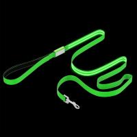 China Durable Nylon LED Dog Leash 6 Foot Long Easily Rechargeable With Padded Handle Dog Lead for sale