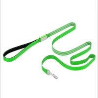 China Durable Nylon LED Dog Leash 6 Foot Long Easily Rechargeable With Padded Handle Dog Lead for sale