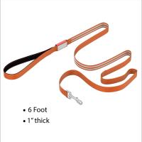 China Three Colors LED Dog Leash 6 Ft Long Padded Handle With 4  Hours Working Time for sale