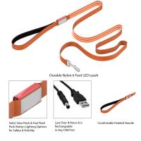 China Three Colors LED Dog Leash 6 Ft Long Padded Handle With 4  Hours Working Time for sale
