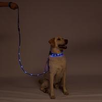 China 4Ft & 6 Ft &Water Resistant LED Dog Leash - USB Rechargeable Flashing Light for sale
