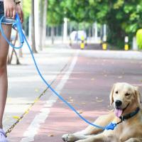 China 0.8*150cm PVC LED Dog Leash , Anti Lost Flat Dog Leash For Dogs Safety for sale