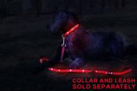 China Illumiseen LED Dog Leash USB Rechargeable Extra Long Weatherproof Eco Friendly for sale