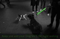 China Heavy Duty LED Reflective Dog Leash Night Safety Lighted Nylon Webbing for sale