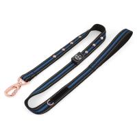 China LED Dog Leash, USB Rechargeable Lights 3 Glowing Modes Night Safety, Water Resistance for sale