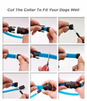 China Night Walking Safety Light Up Dog Collar , USB Rechargeable LED Dog Collar for sale