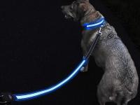 China High Visibility LED Dog Leash , Durable Reflective LED Pet Leash Lightweight for sale