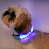 China LED Reflective Dog Collar USB Rechargeable for sale