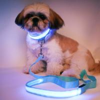 China LED Reflective Dog Collar USB Rechargeable for sale