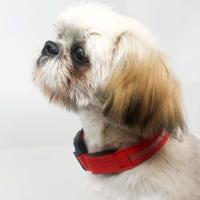 China 3 Modes Adjustable LED Dog Collar USB Rechargeable , Light Up Christmas Dog Collar for sale