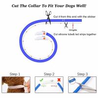 China Silicone Cuttable Nite Glow Dog Collar USB Rechargeable For Small Medium Large Dogs for sale