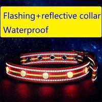 China Water Resistant LED Dog Collar USB Rechargeable 3 Light Mode Reflective Glow In The Dark for sale