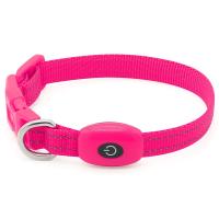 China Energy Saving Glow In The Dark Puppy Collars USB Rechargeable Environmental Friendly for sale