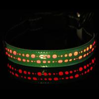 China Adjustable LED Dog Collar USB Rechargeable Customized For Dog Cat Night Safety for sale