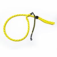 China Polyester Webbing LED Light Up Dog Leash Durable 4 Colors Option Customized for sale