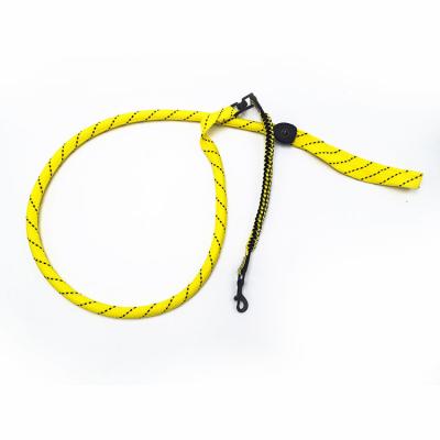 China Polyester Webbing LED Light Up Dog Leash Durable 4 Colors Option Customized for sale