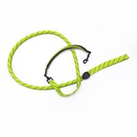 China Polyester Webbing LED Light Up Dog Leash Durable 4 Colors Option Customized for sale