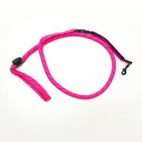 China Polyester Webbing LED Light Up Dog Leash Durable 4 Colors Option Customized for sale