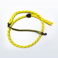 China Polyester Webbing LED Light Up Dog Leash Durable 4 Colors Option Customized for sale