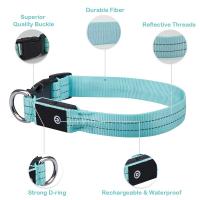 China Nylon LED Dog Collar USB Rechargeable , Waterproof Light Up Dog Collar for sale