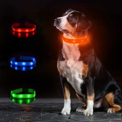 China Waterproof Durable Rechargeable LED Dog Collar For Small Medium Large Dogs for sale