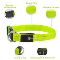 China Waterproof Durable Rechargeable LED Dog Collar For Small Medium Large Dogs for sale