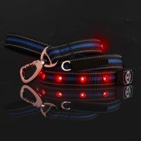 China 4 FT Long LED Dog Leash Soft Padded Reflective Nylon For Medium Large Dogs for sale