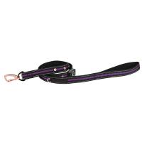 China 4 FT Long LED Dog Leash Soft Padded Reflective Nylon For Medium Large Dogs for sale