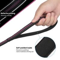 China 4 FT Long LED Dog Leash Soft Padded Reflective Nylon For Medium Large Dogs for sale