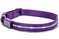 China Reflective LED Dog Collar USB Rechargeable Water Resistant Running Over 8 Hours for sale