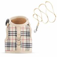 China Adjustable Soft Mesh Cat Harness Vest And Leash Set Padded Lining Snug - Fit for sale