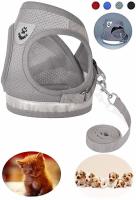 China Escape Proof Cat Harnesses Dog and Cat Universal Harness with Leash Set for sale