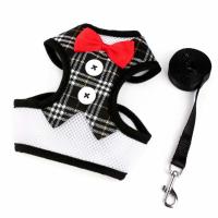 China Bow Knot Bowtie Dog Harness Cat Vest Adjustable Breathable Mesh Escape Proof for sale