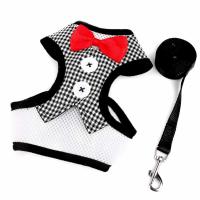 China Bow Knot Bowtie Dog Harness Cat Vest Adjustable Breathable Mesh Escape Proof for sale