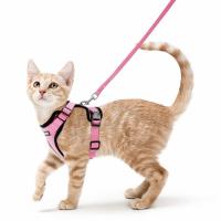 China Adjustable Soft Cat Vest Kitten Harnesses Reflective Safety Harness with Leash for sale