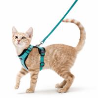 China Adjustable Soft Cat Vest Kitten Harnesses Reflective Safety Harness with Leash for sale