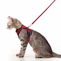 China Adjustable Soft Cat Vest Kitten Harnesses Reflective Safety Harness with Leash for sale