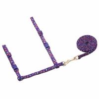 China Cat Harness Collar with Leash Set - Fashion Design with durable fastener and quick release buckle for sale