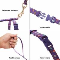 China Cat Harness Collar with Leash Set - Fashion Design with durable fastener and quick release buckle for sale